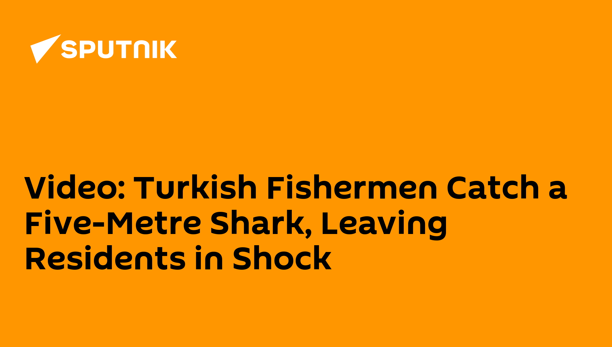 Video: Turkish Fishermen Catch a Five-Metre Shark, Leaving Residents in ...