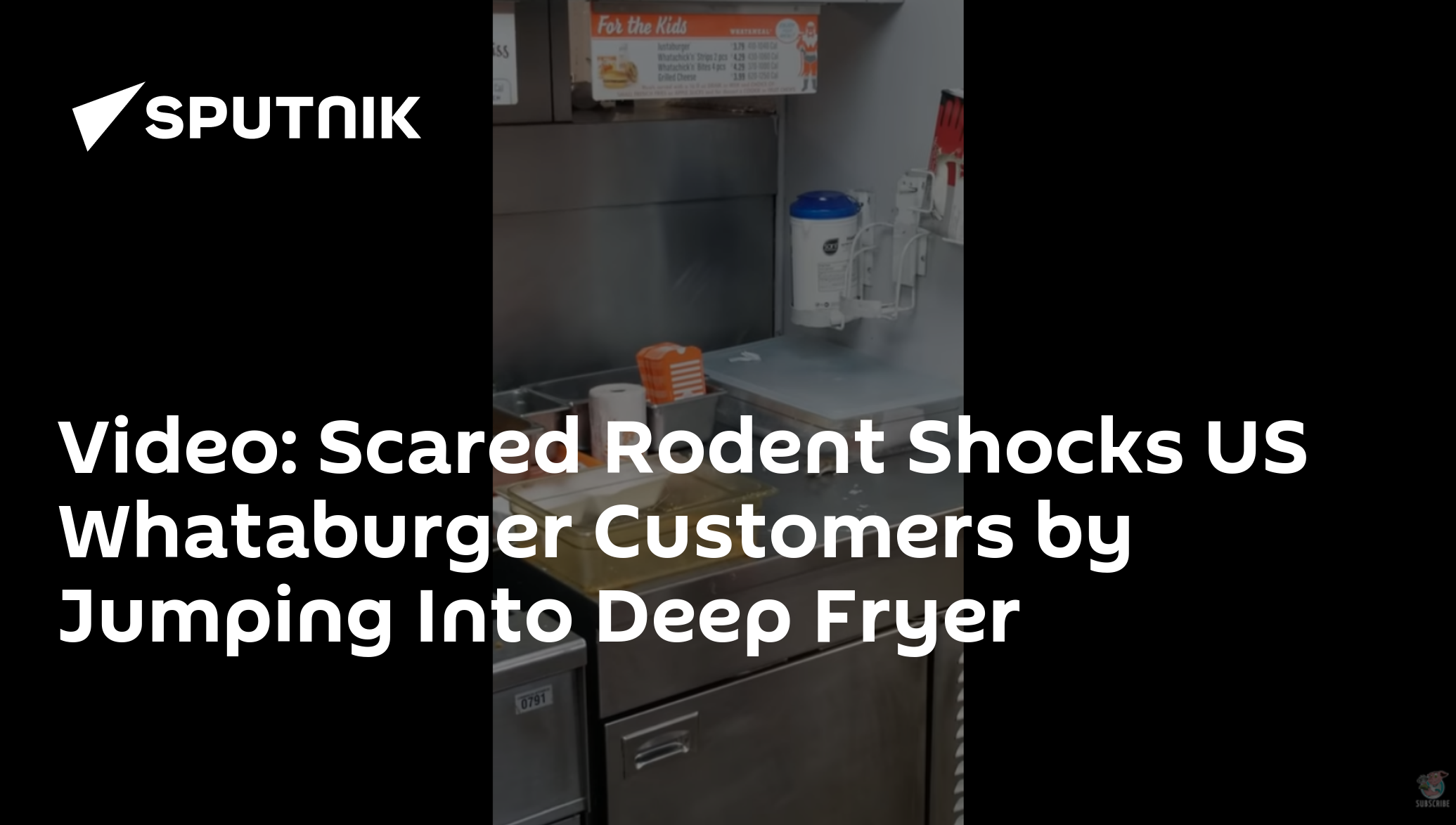 Video: Scared Rodent Shocks US Whataburger Customers by Jumping Into ...