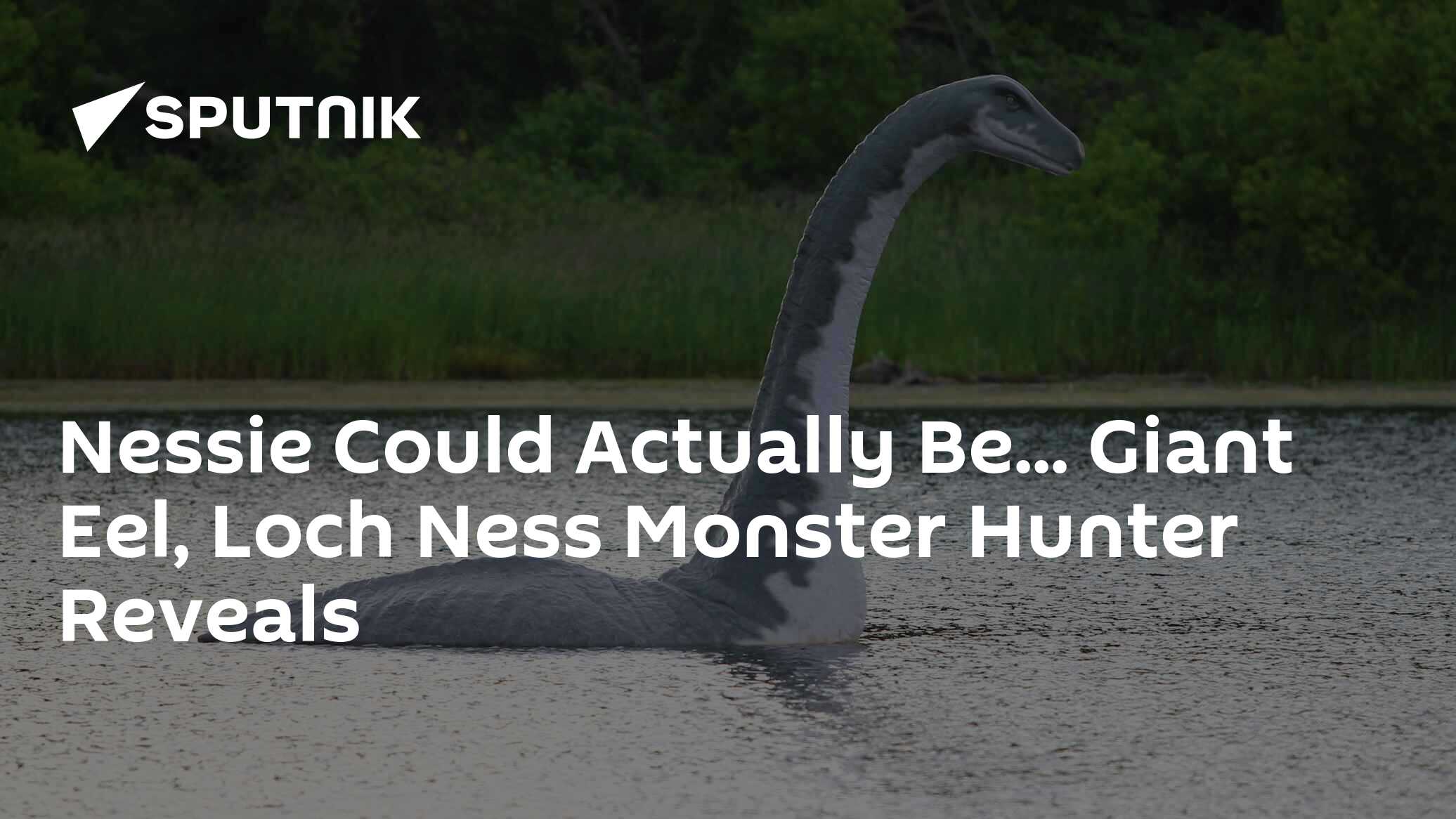 Nessie Could Actually Be... Giant Eel, Loch Ness Monster Hunter Reveals