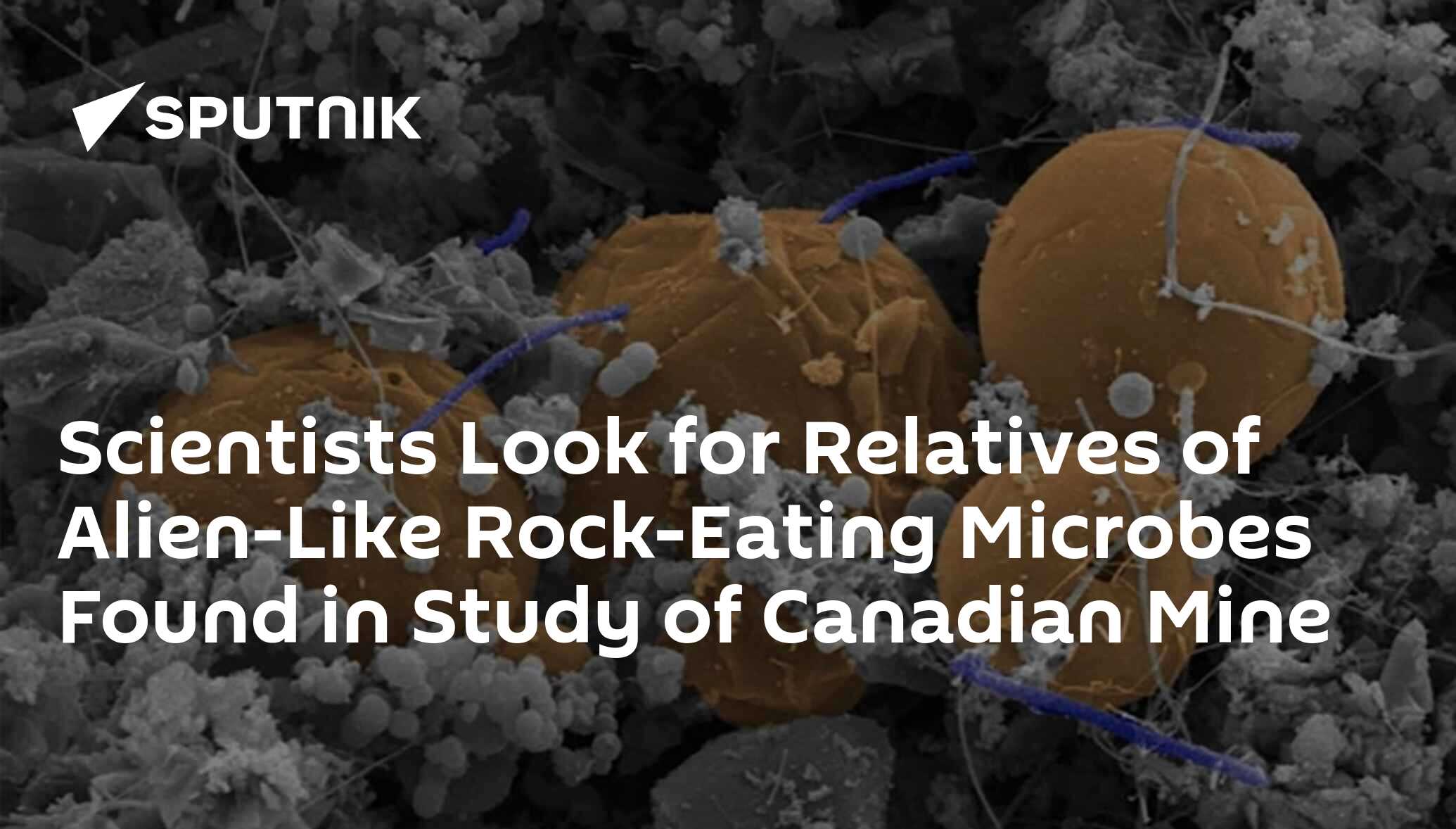 Scientists Look for Relatives of Alien-Like Rock-Eating Microbes Found ...