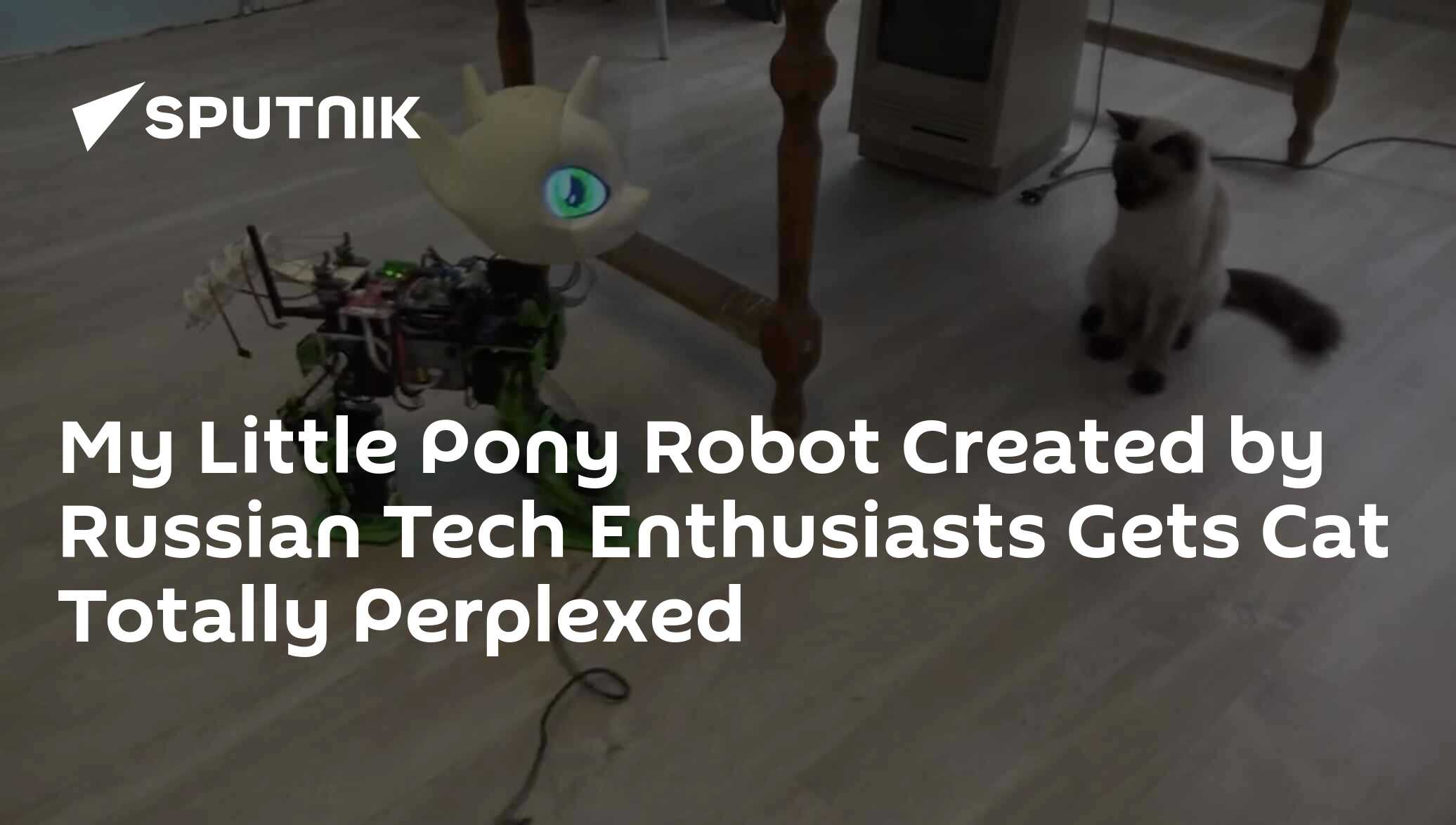 My Little Pony Robot Created by Russian Tech Enthusiasts Gets Cat ...