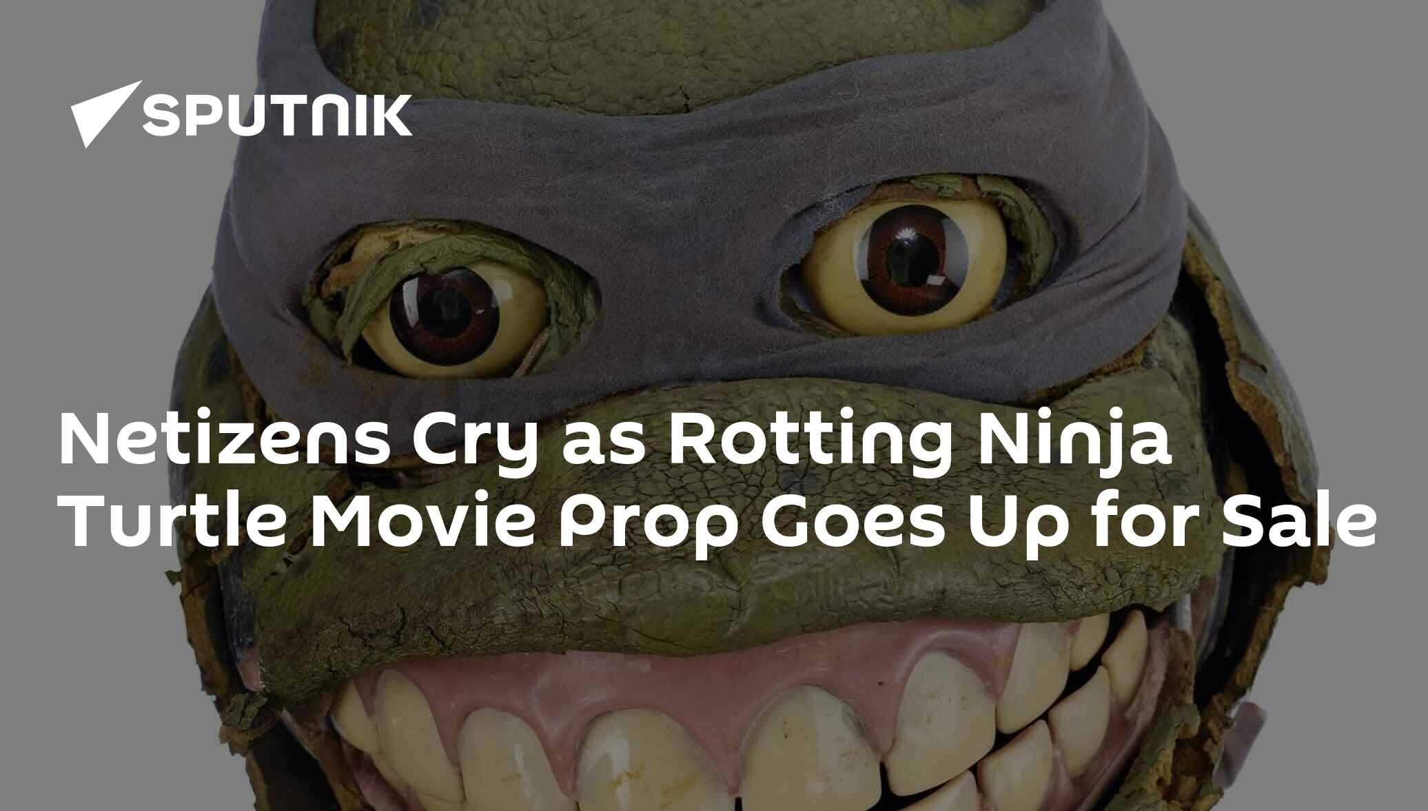 Netizens Cry as Rotting Ninja Turtle Movie Prop Goes Up for Sale - 02. ...