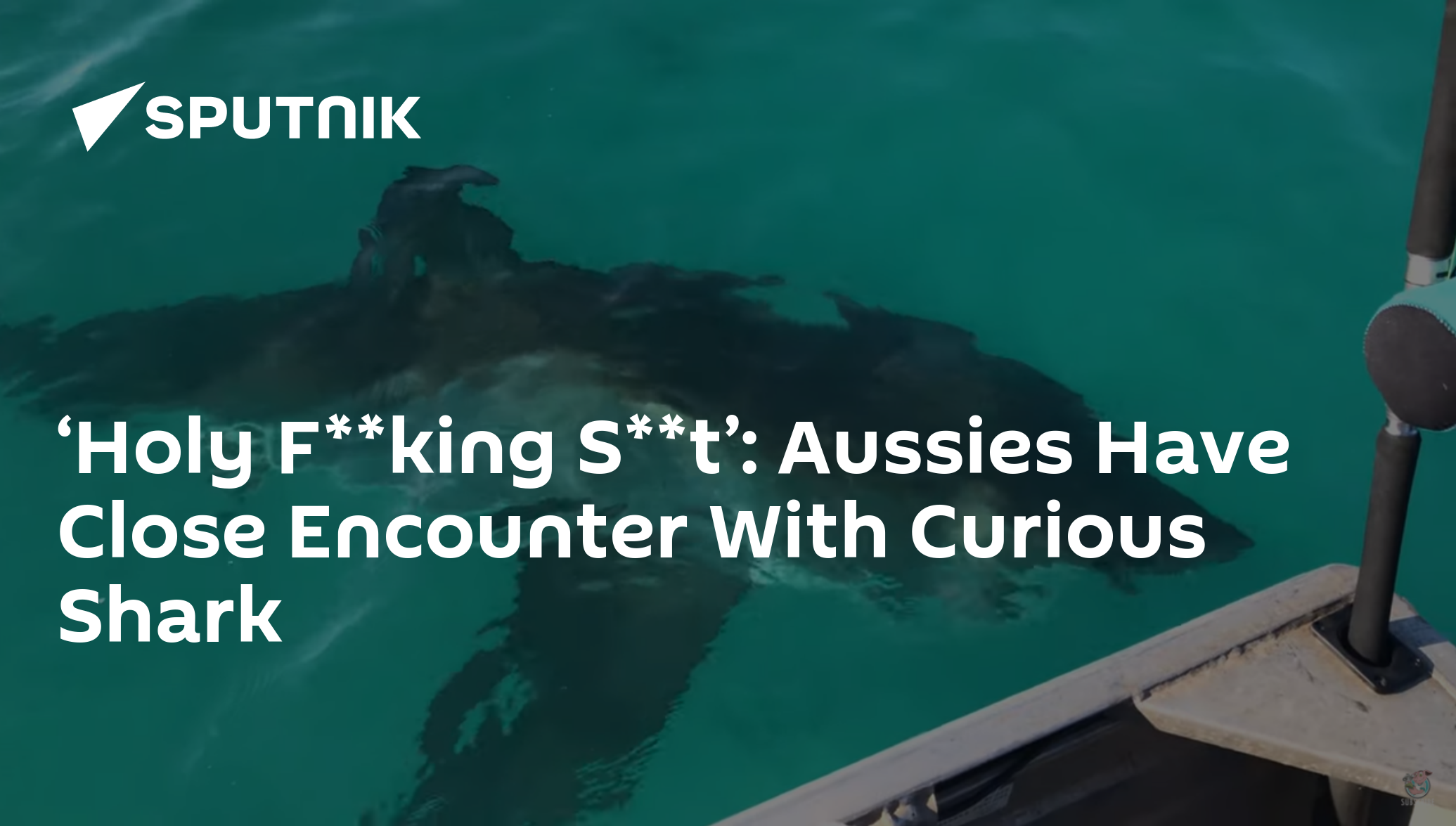 ‘Holy F**king S**t’: Aussies Have Close Encounter With Curious Shark ...