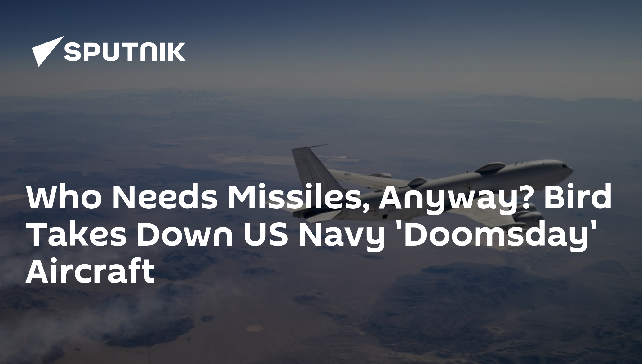 Who Needs Missiles, Anyway? Bird Takes Down US Navy 'Doomsday' Aircraft ...