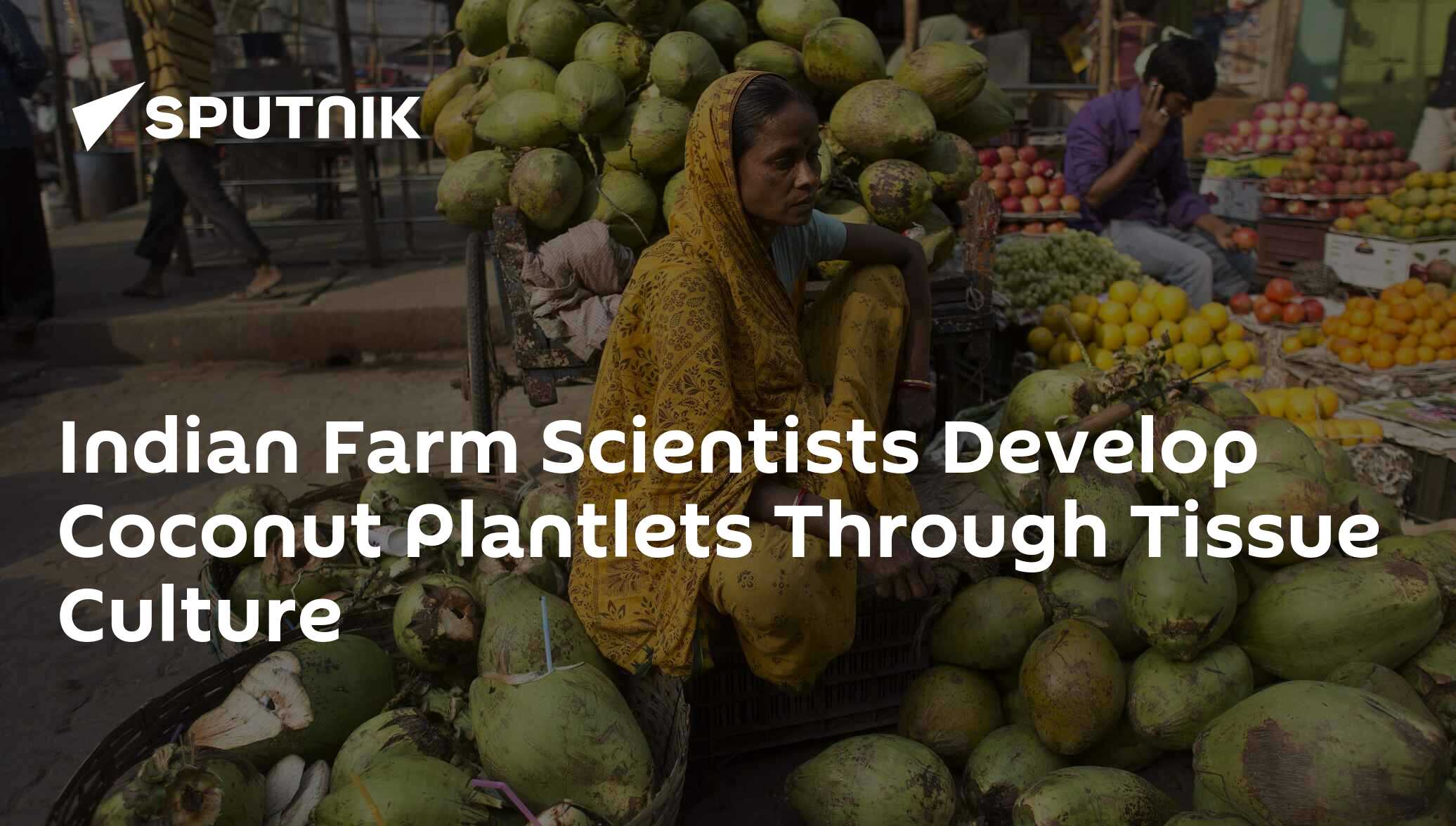 Indian Farm Scientists Develop Coconut Plantlets Through Tissue Culture