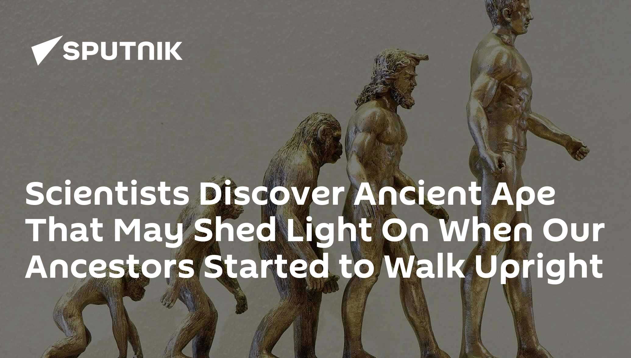 Scientists Discover Ancient Ape That May Shed Light On When Our ...