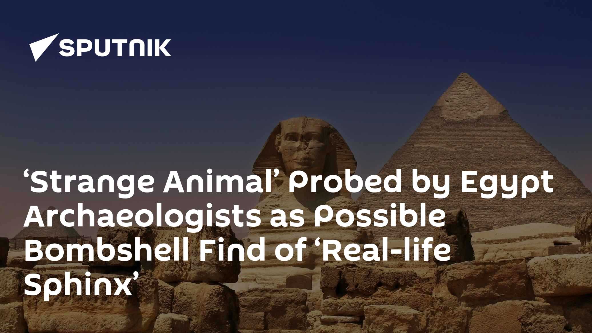 ‘Strange Animal’ Probed by Egypt Archaeologists as Possible Bombshell ...