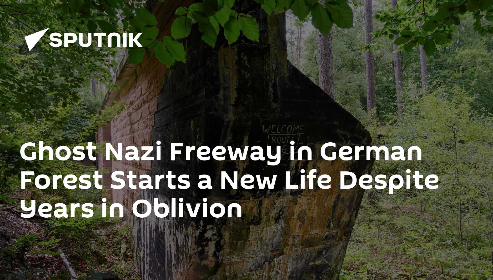 Ghost Nazi Freeway in German Forest Starts a New Life Despite Years in ...