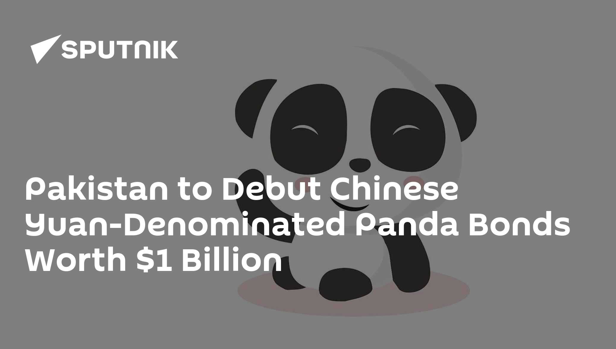 Pakistan to Debut Chinese Yuan-Denominated Panda Bonds Worth $1 Billion