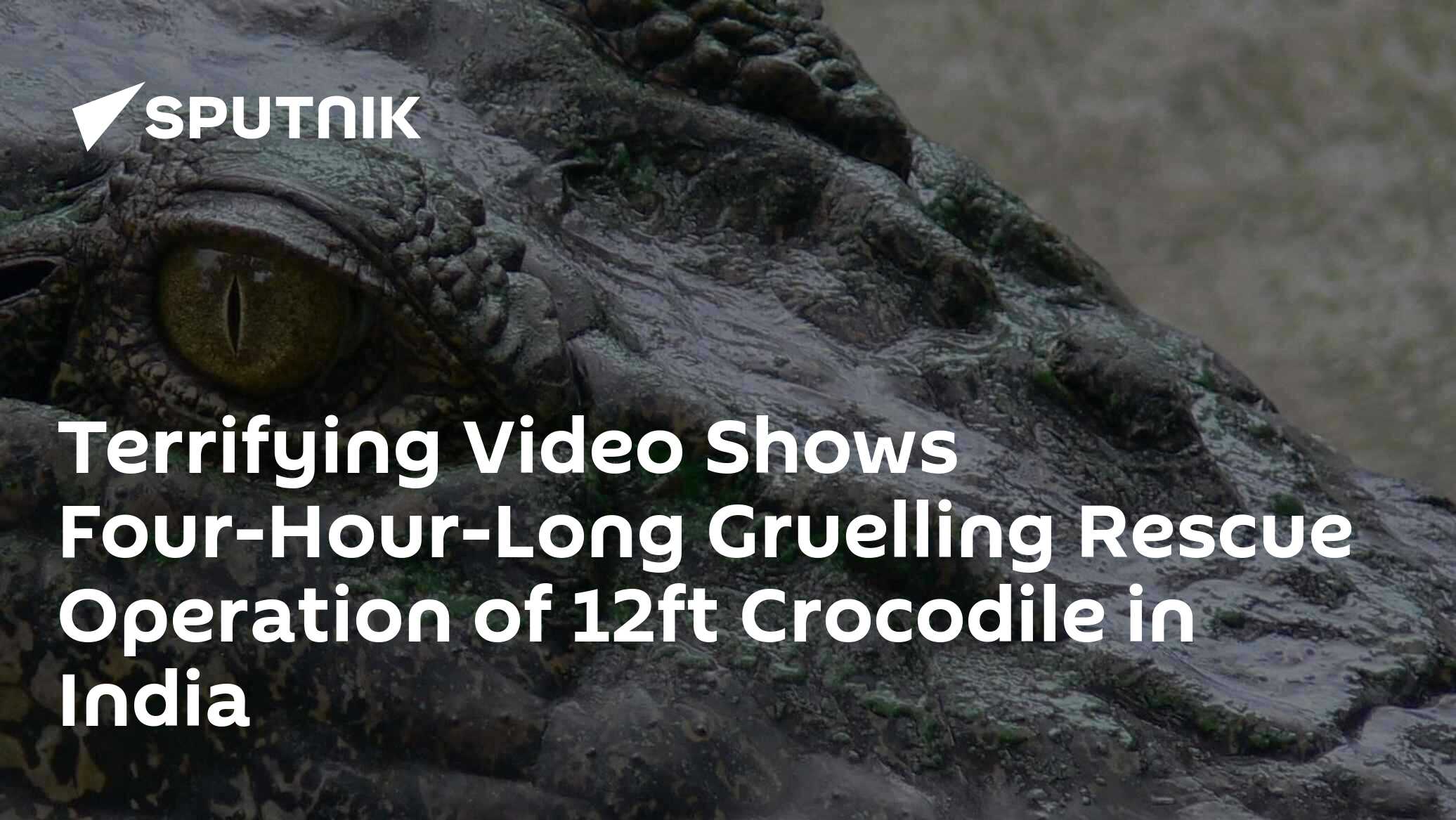 Terrifying Video Shows Four-Hour-Long Gruelling Rescue Operation of 12 ...