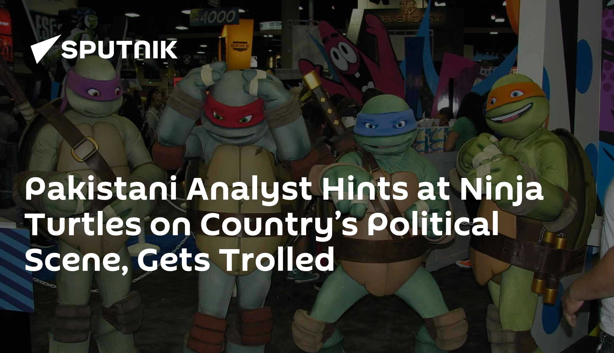 Pakistani Analyst Hints at Ninja Turtles on Country’s Political Scene ...