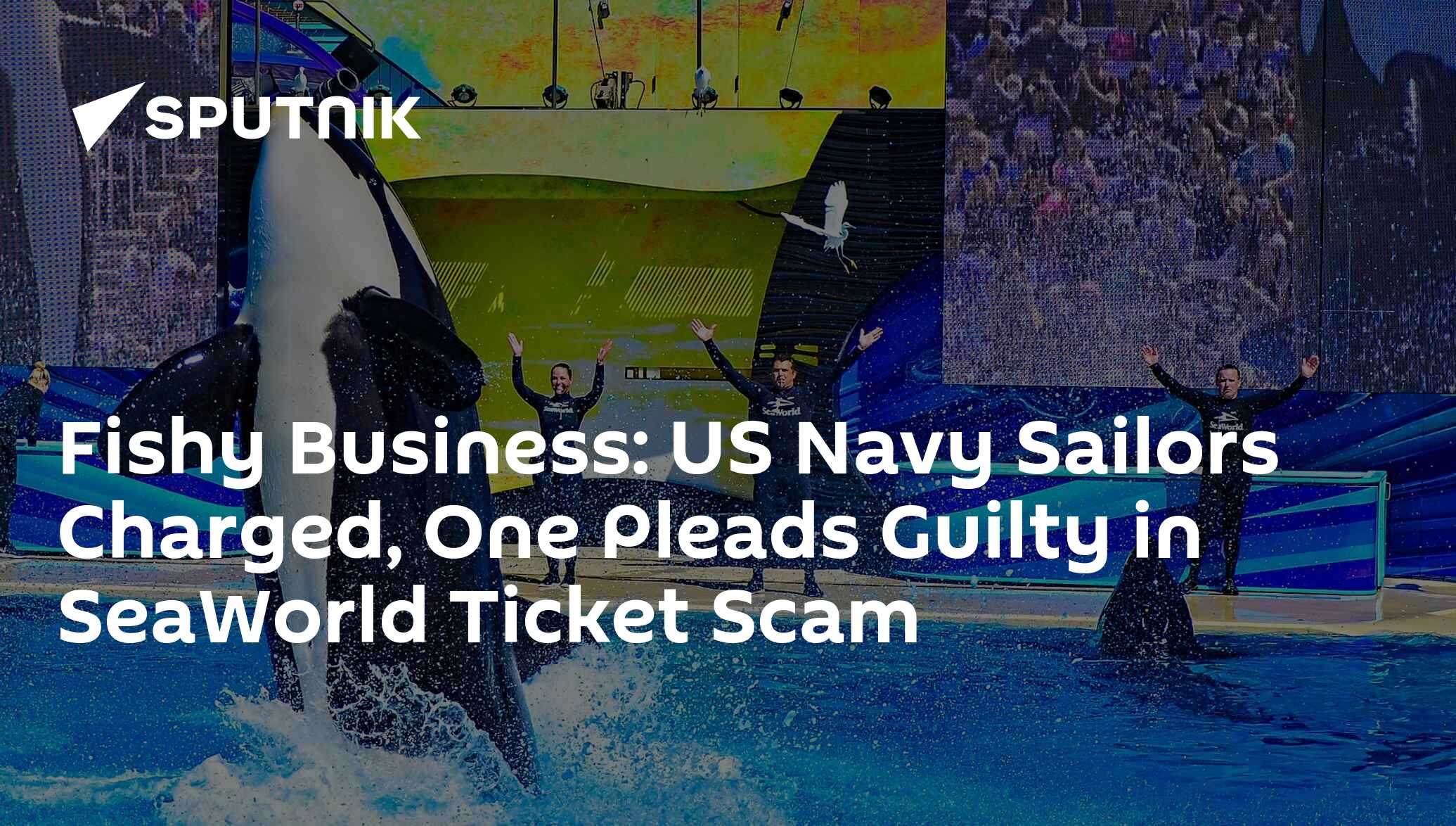 Fishy Business: US Navy Sailors Charged, One Pleads Guilty in SeaWorld ...