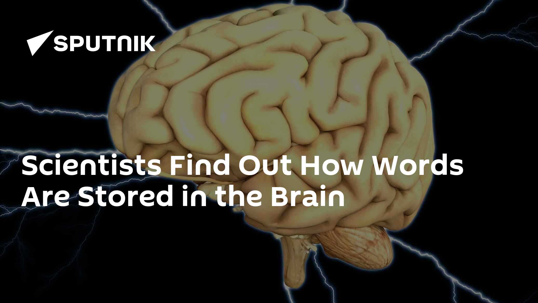 Scientists Find Out How Words Are Stored in the Brain - 11.12.2019 ...