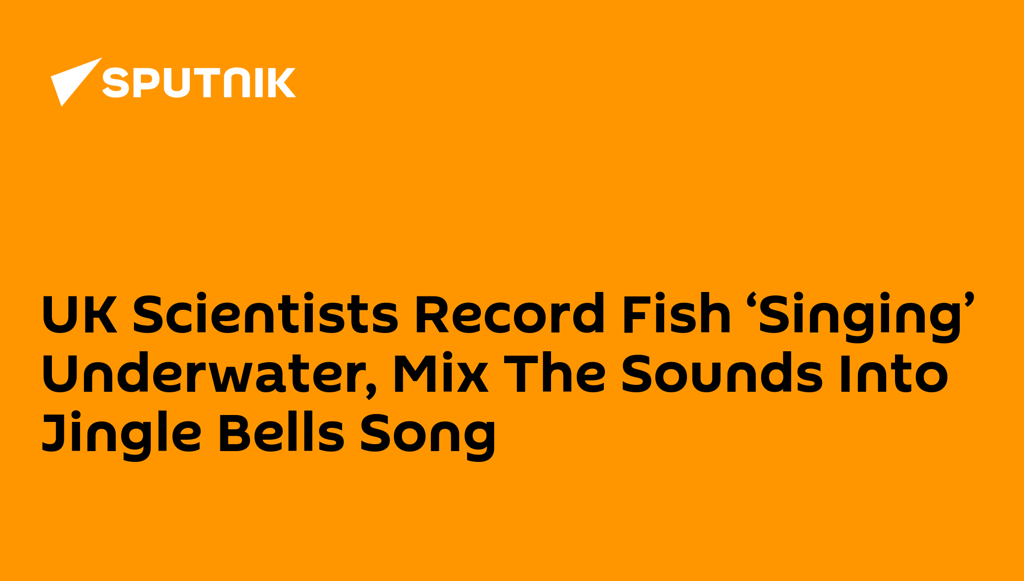 UK Scientists Record Fish ‘Singing’ Underwater, Mix The Sounds Into ...