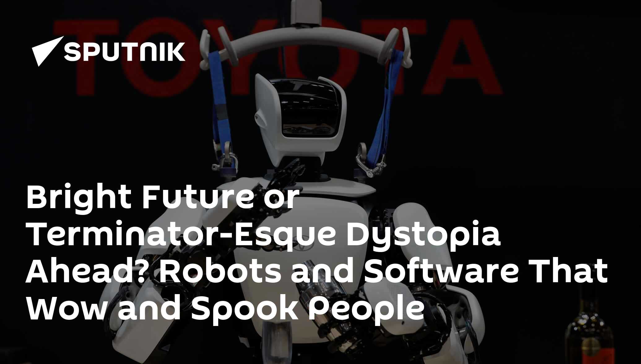 Bright Future or Terminator-Esque Dystopia Ahead? Robots and Software ...