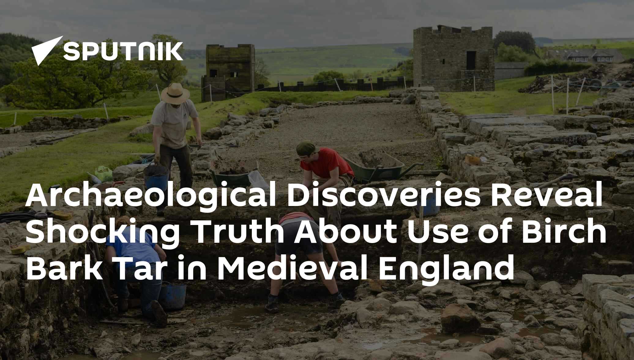 Archaeological Discoveries Reveal Shocking Truth About Use of Birch ...