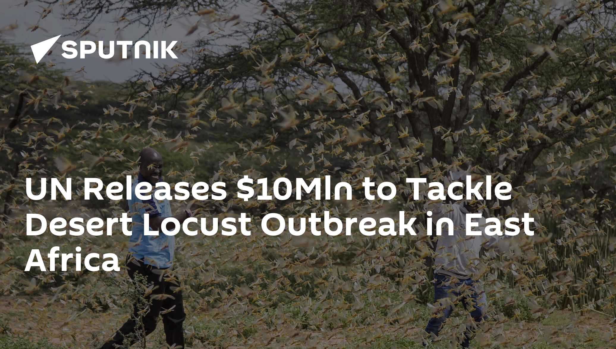 UN Releases $10Mln to Tackle Desert Locust Outbreak in East Africa - 23 ...