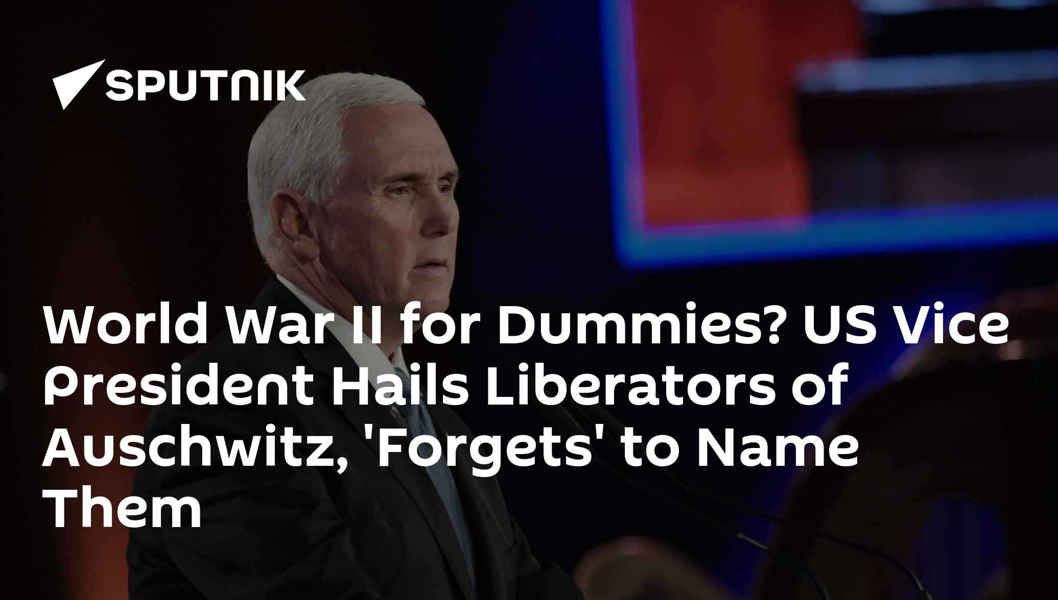World War II for Dummies? US Vice President Hails Liberators of ...