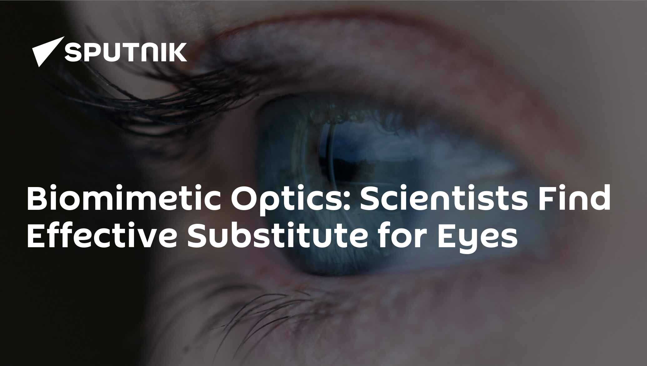 Biomimetic Optics: Scientists Find Effective Substitute for Eyes - 04. ...