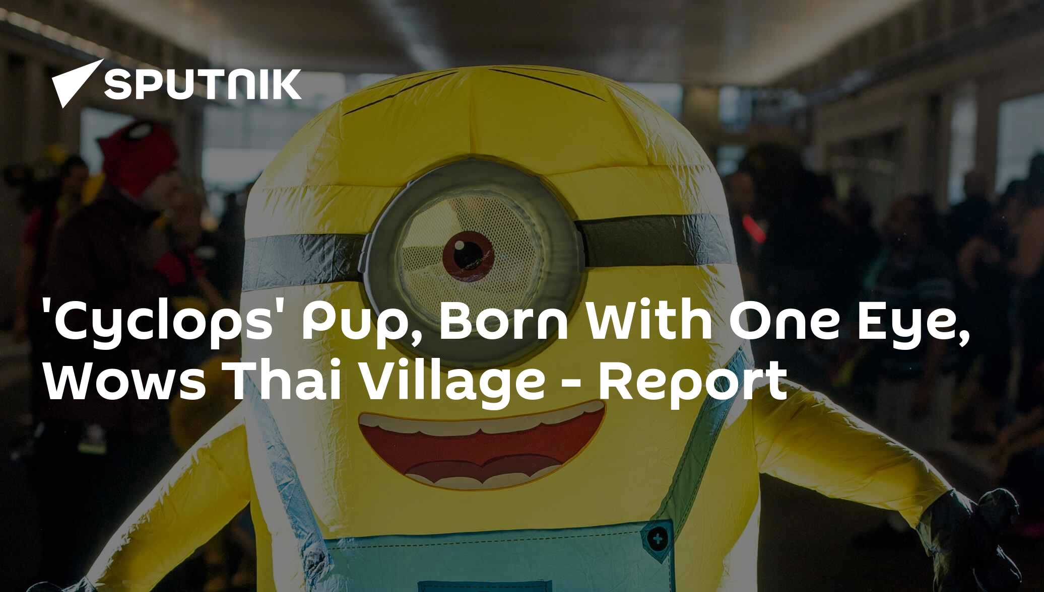 'Cyclops' Pup, Born With One Eye, Wows Thai Village - Report - 04.02. ...
