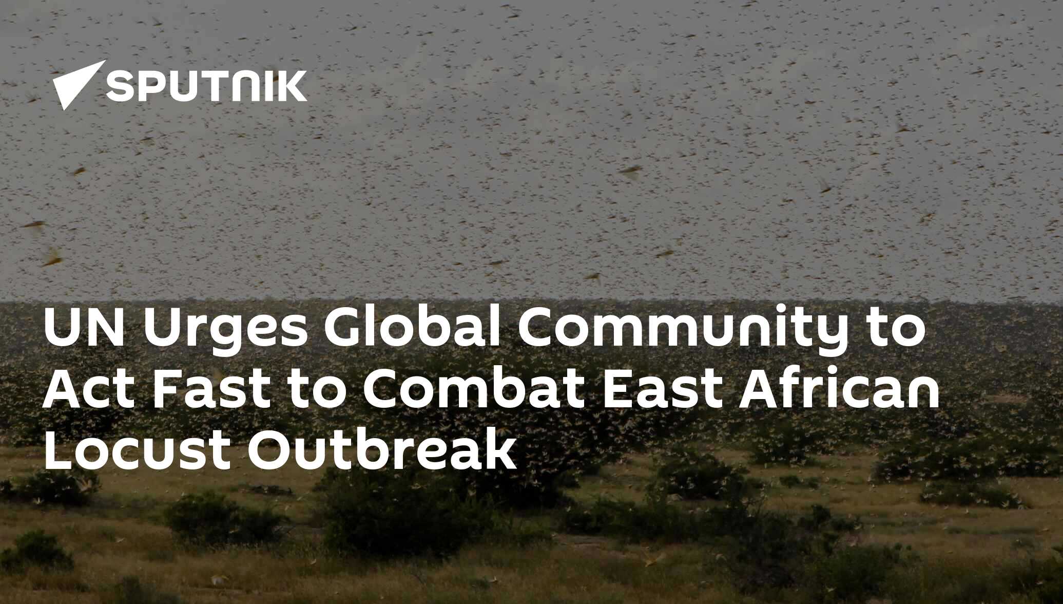 UN Urges Global Community to Act Fast to Combat East African Locust ...
