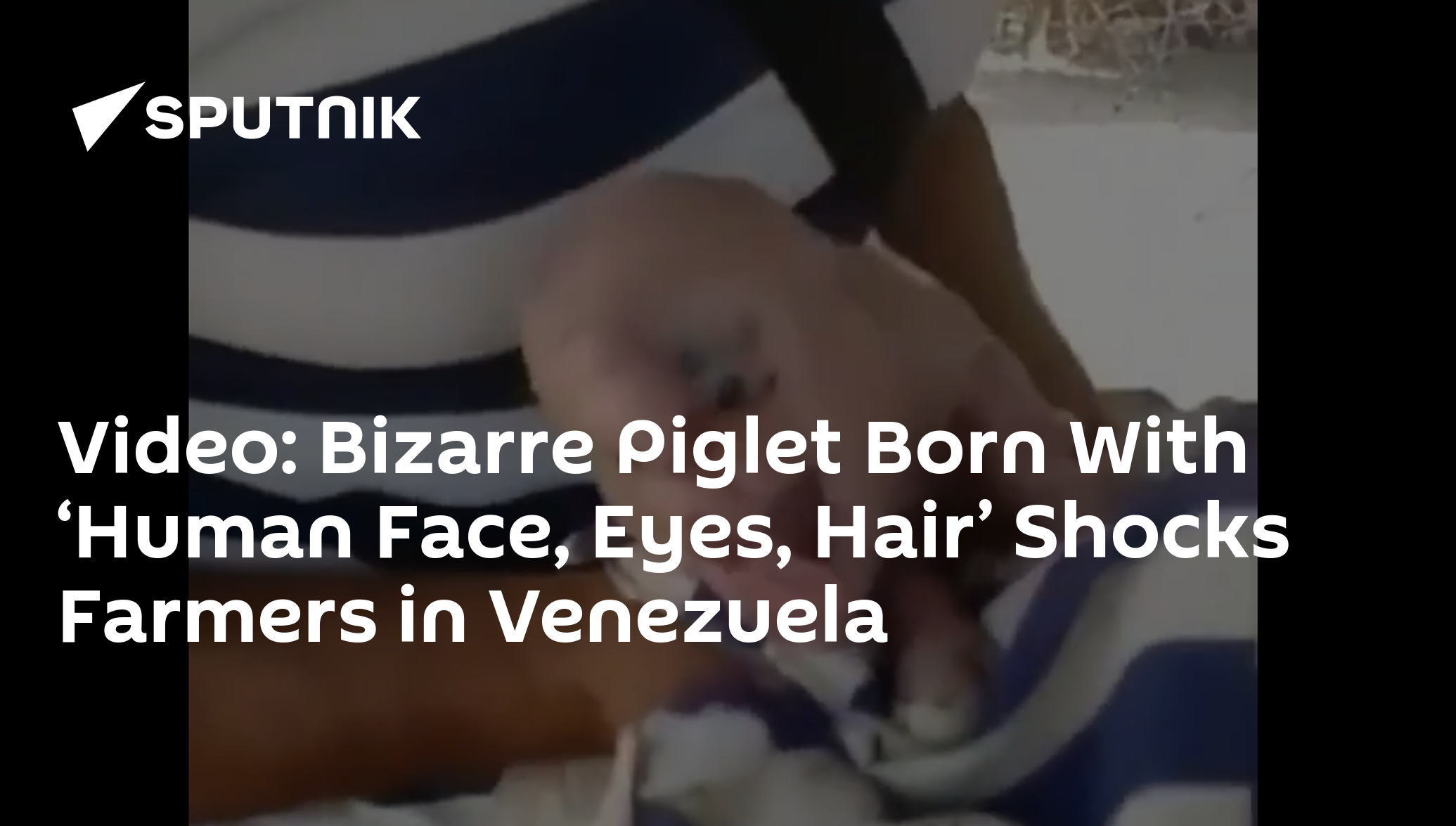 Video: Bizarre Piglet Born With ‘Human Face, Eyes, Hair’ Shocks Farmers ...