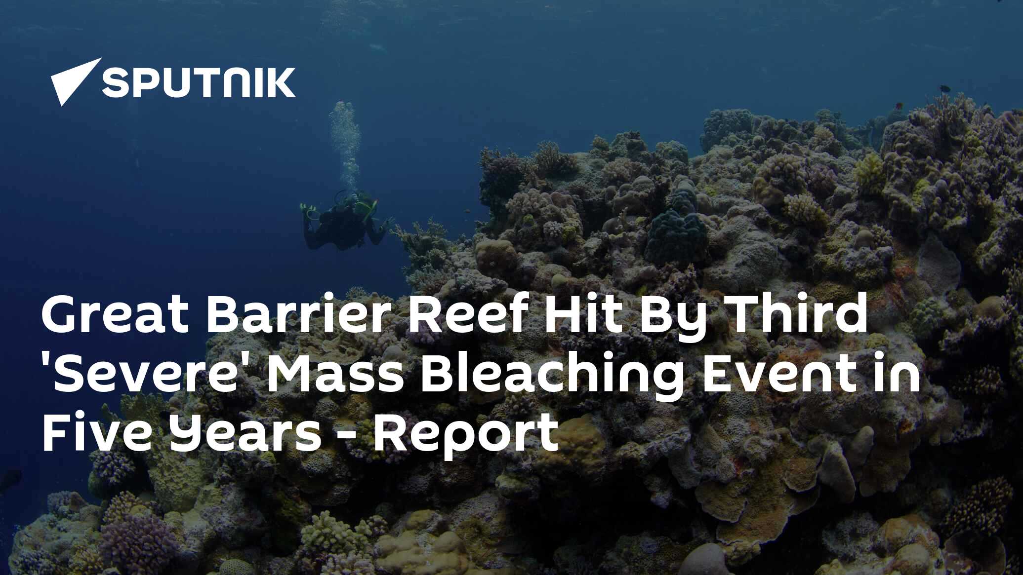 Great Barrier Reef Hit By Third 'Severe' Mass Bleaching Event in Five ...