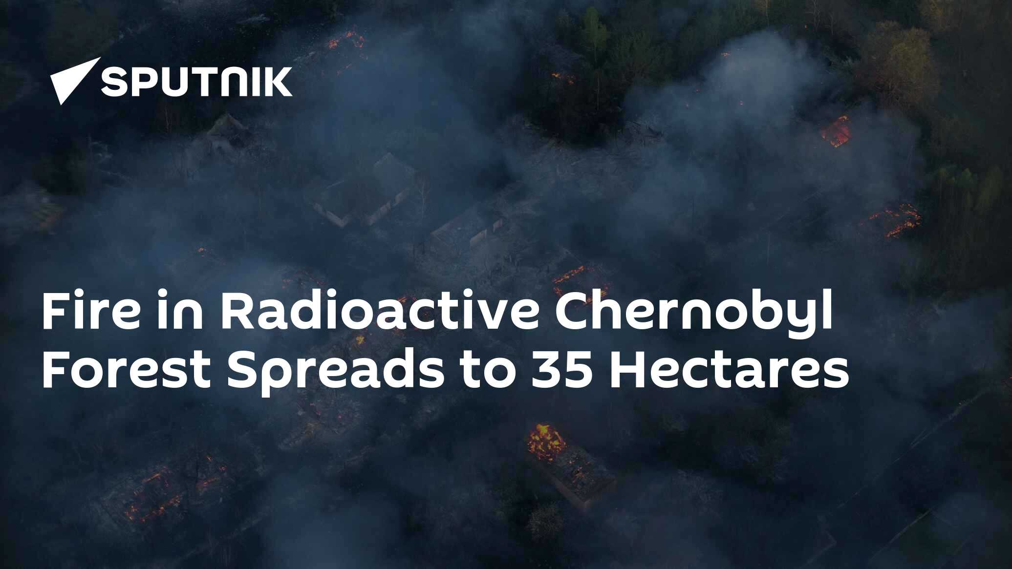 Fire in Radioactive Chernobyl Forest Spreads to 35 Hectares - 07.04. ...