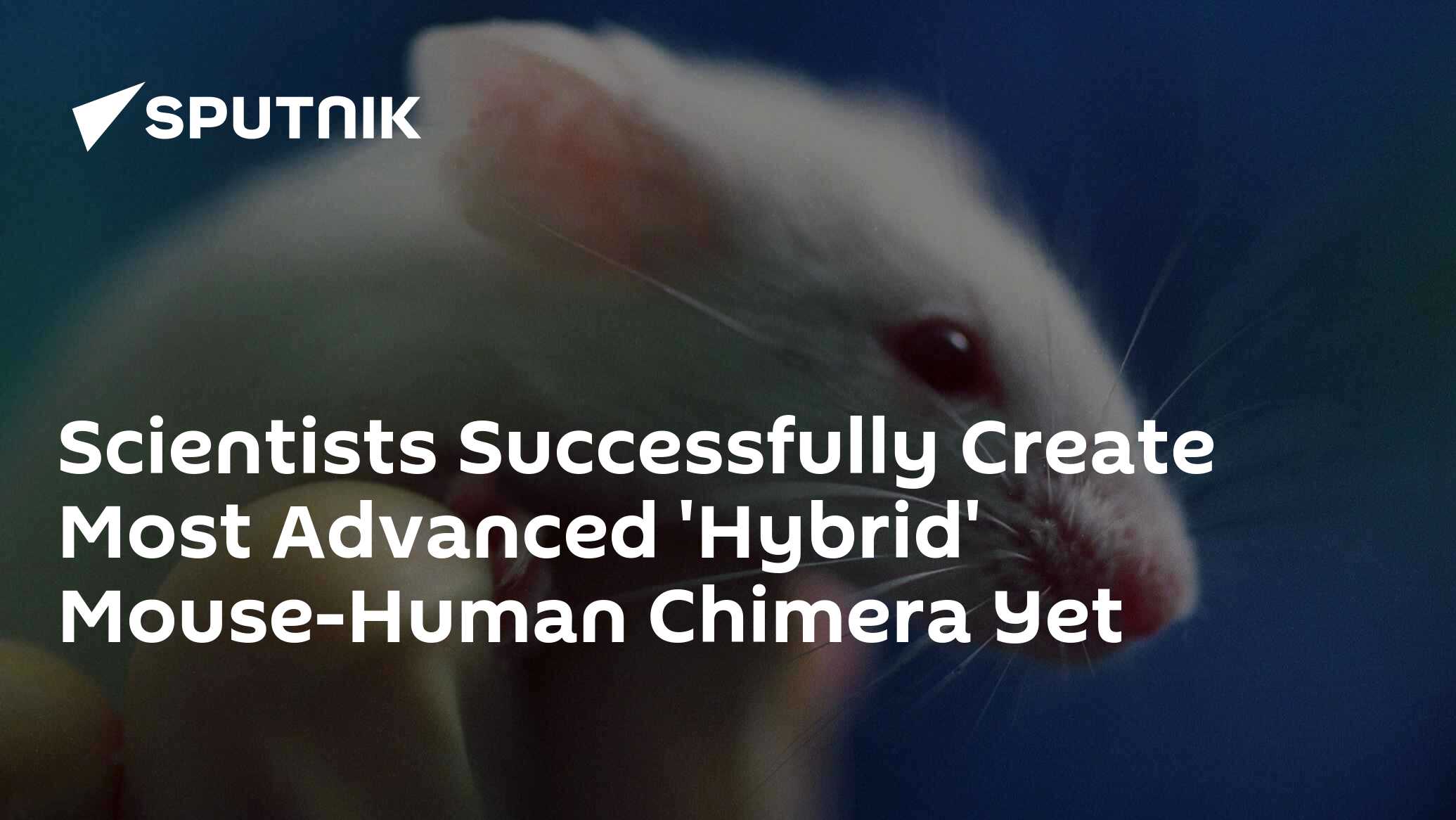 Scientists Successfully Create Most Advanced 'Hybrid' Mouse-Human ...