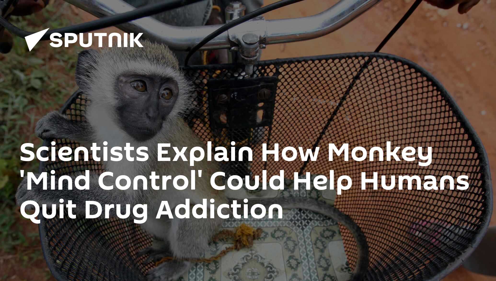 Scientists Explain How Monkey 'Mind Control' Could Help Humans Quit ...