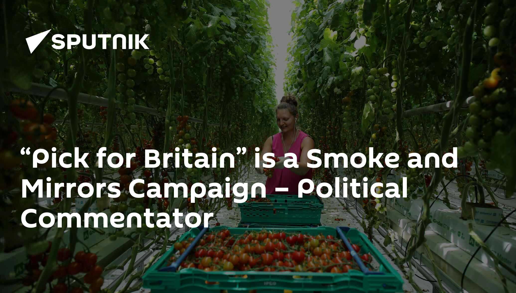 “Pick for Britain” is a Smoke and Mirrors Campaign – Political ...