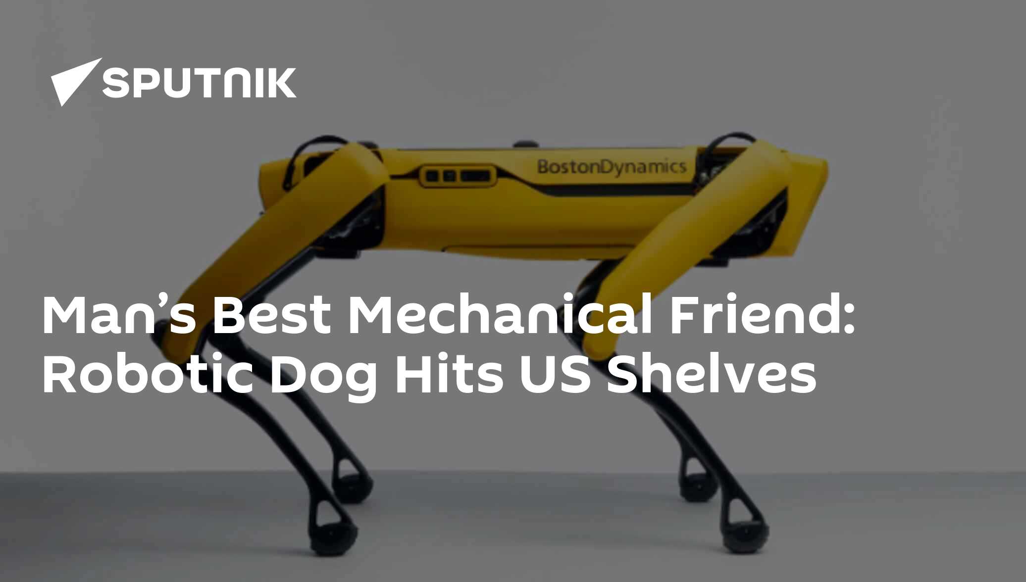 Man’s Best Mechanical Friend: Robotic Dog Hits US Shelves