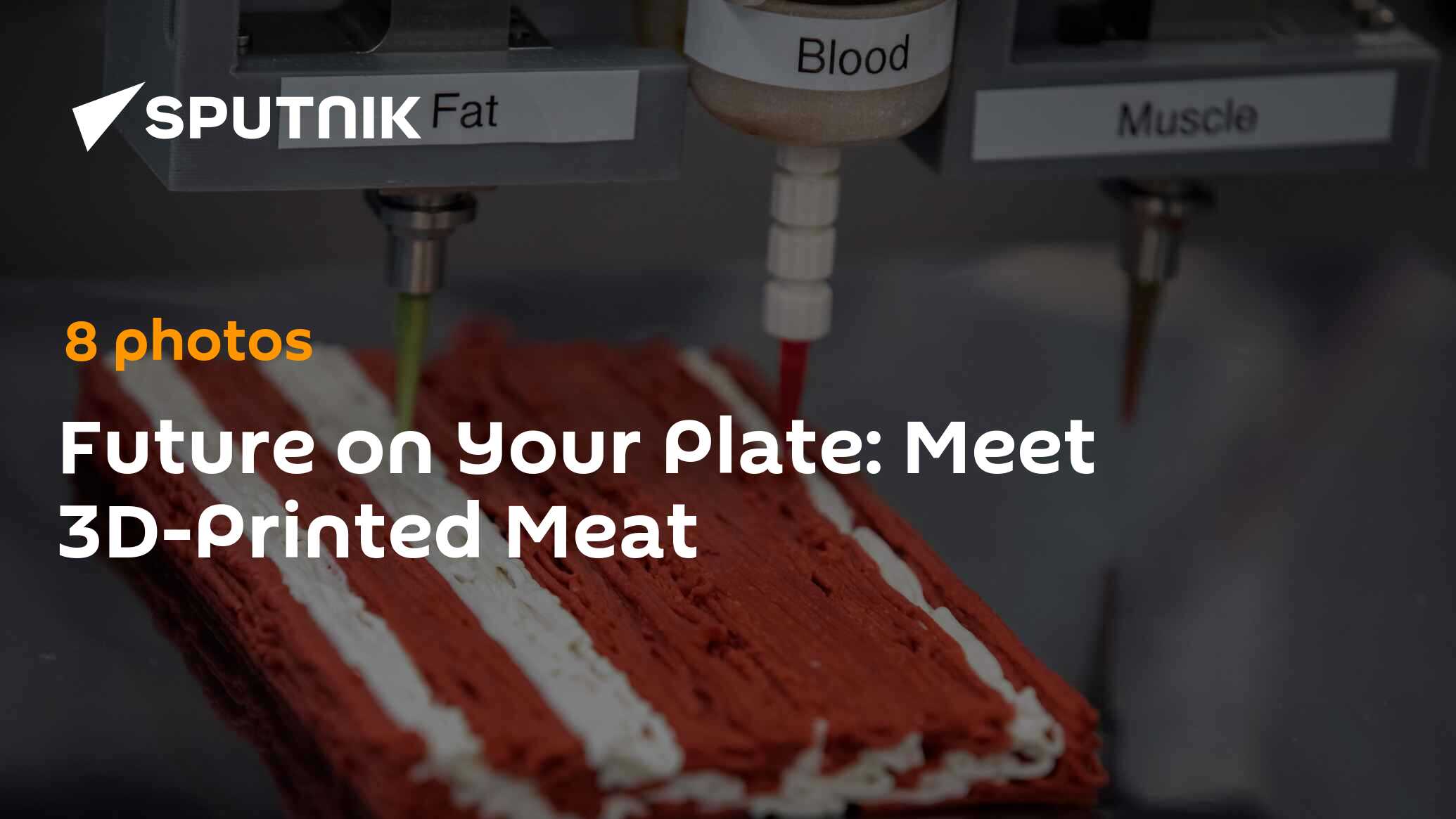 Future on Your Plate: Meet 3D-Printed Meat