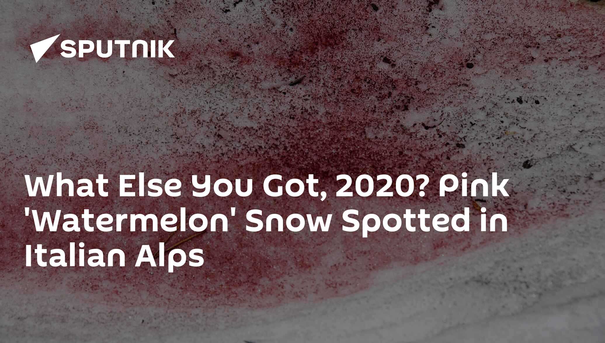 What Else You Got, 2020? Pink 'Watermelon' Snow Spotted in Italian Alps ...