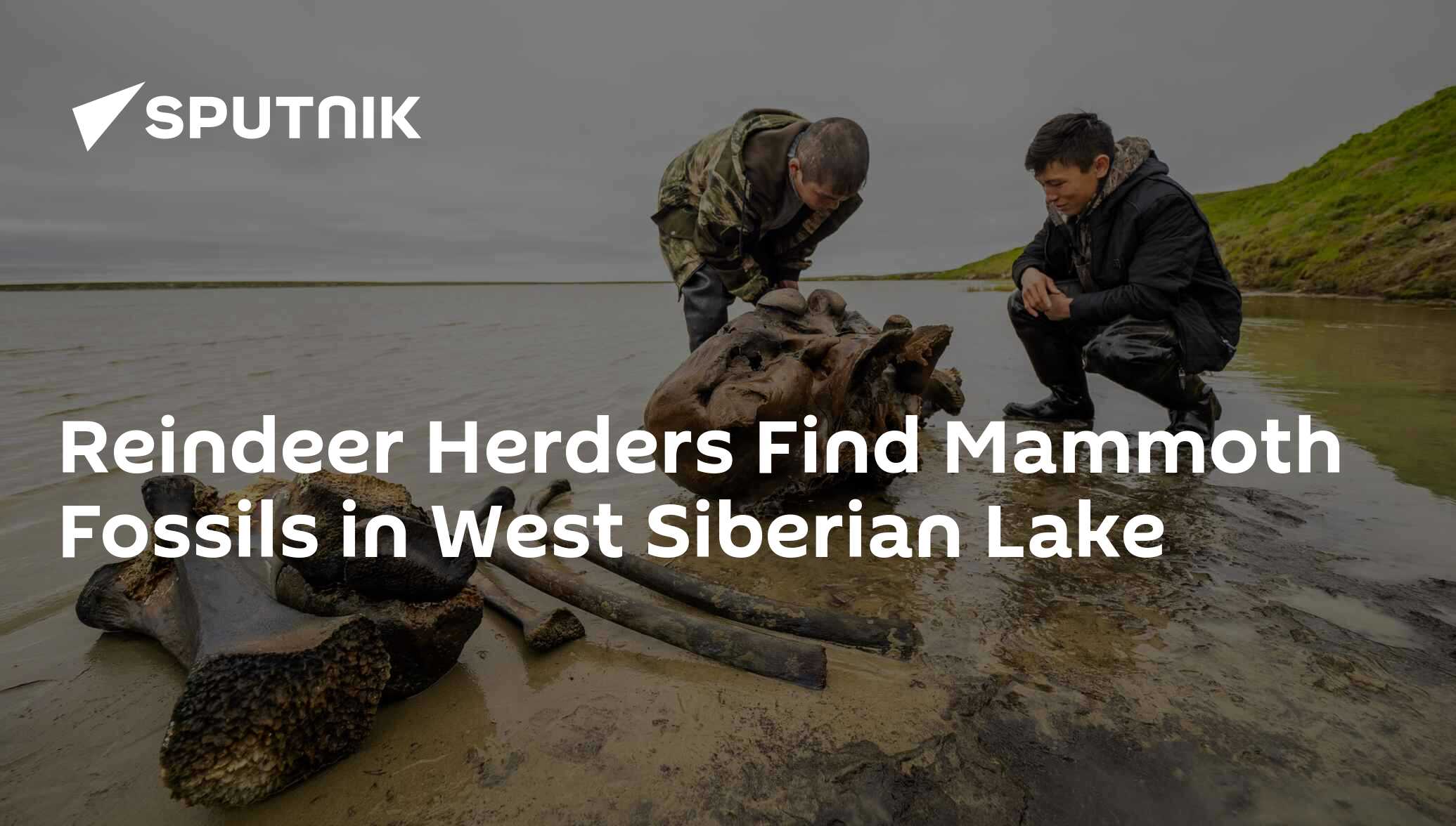 Reindeer Herders Find Mammoth Fossils in West Siberian Lake