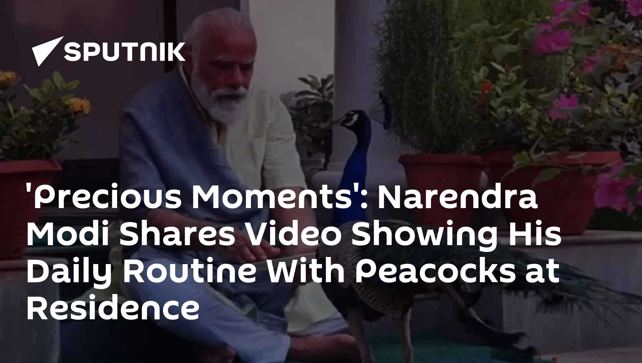 'Precious Moments': Narendra Modi Shares Video Showing His Daily ...