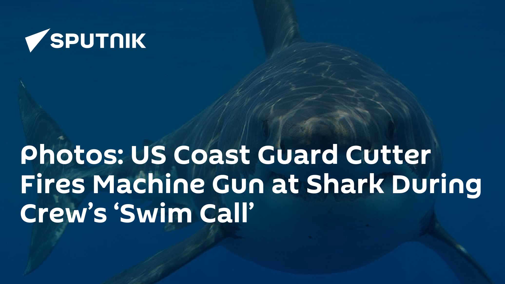 Photos: US Coast Guard Cutter Fires Machine Gun at Shark During Crew’s ...