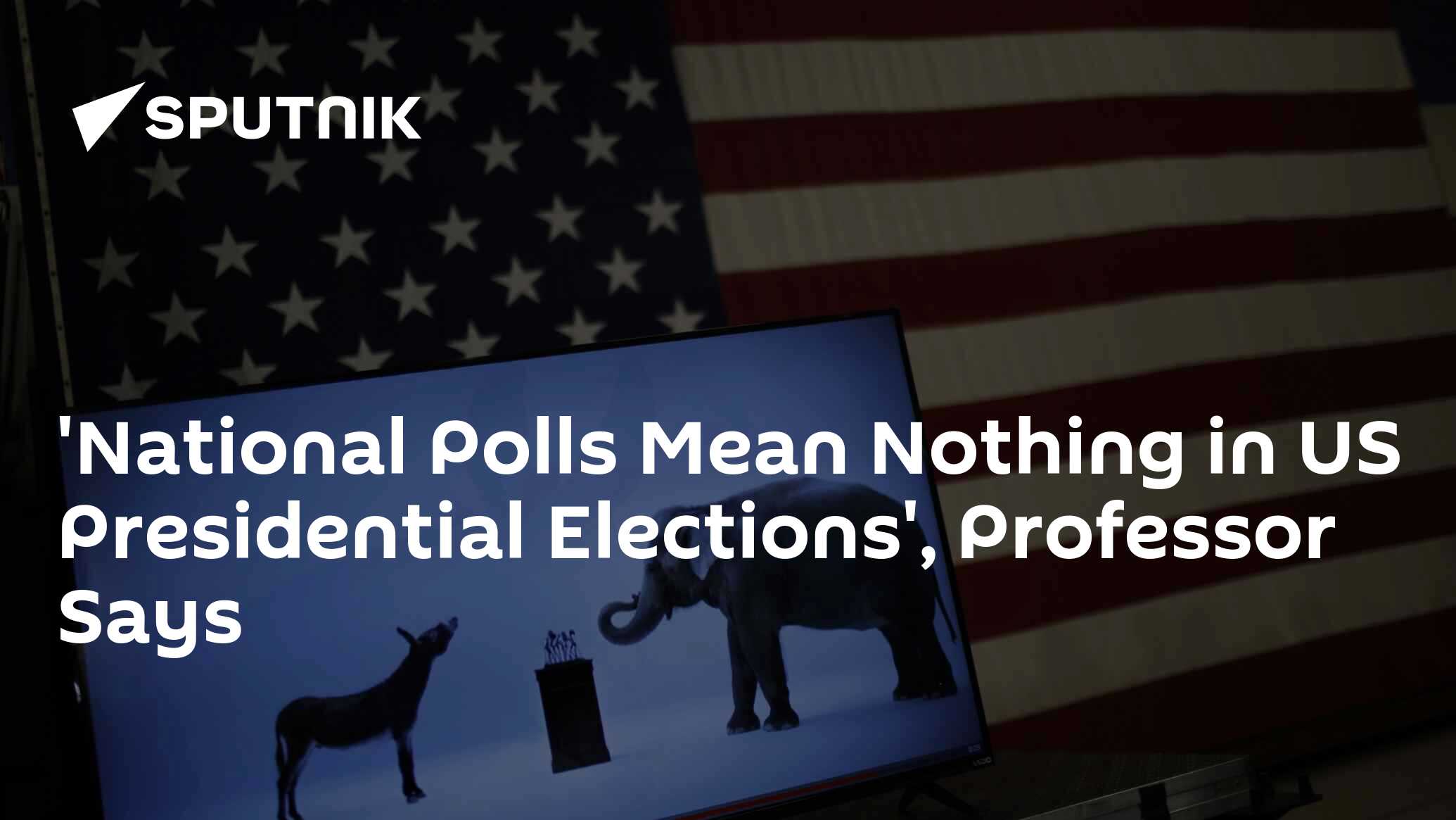 'National Polls Mean Nothing in US Presidential Elections', Professor ...