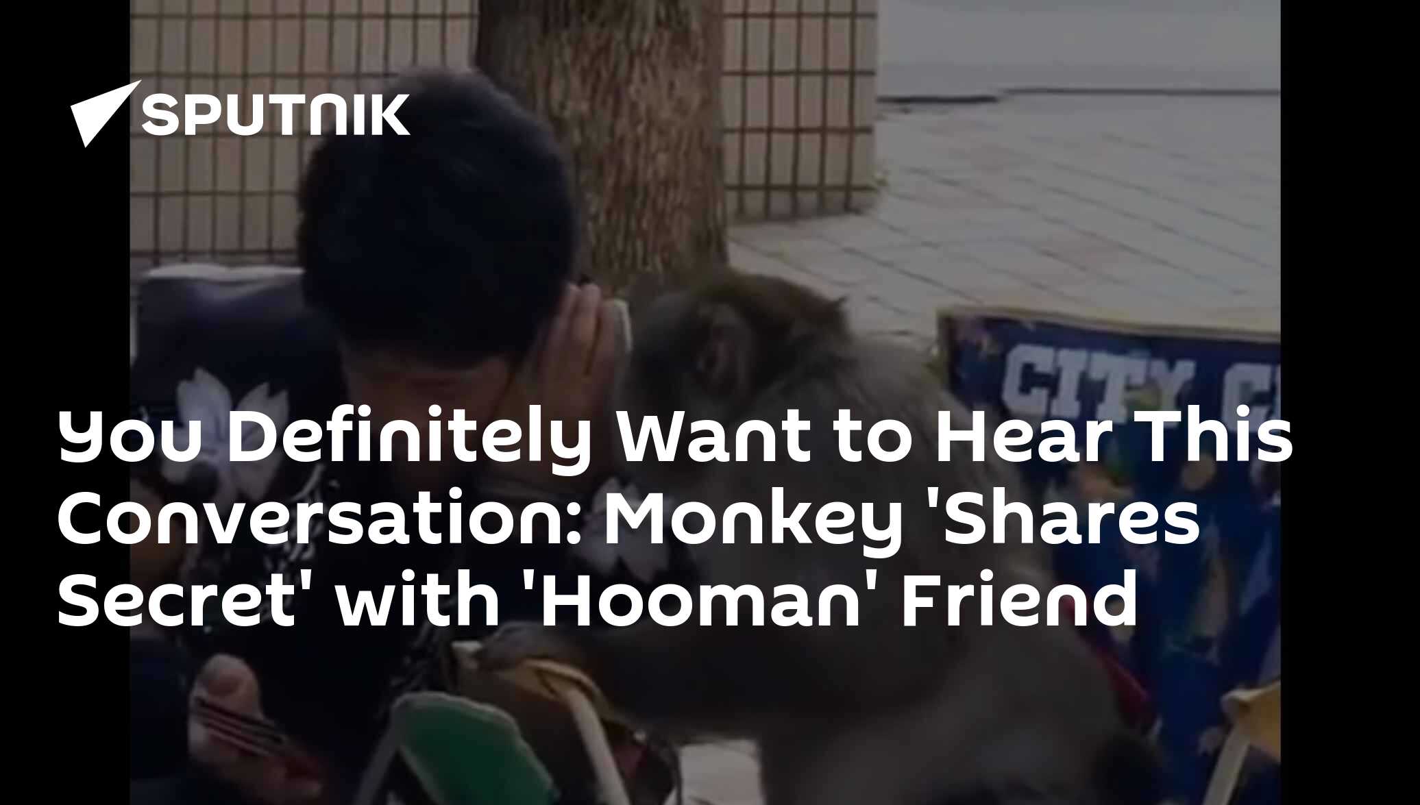 You Definitely Want to Hear This Conversation: Monkey 'Shares Secret ...