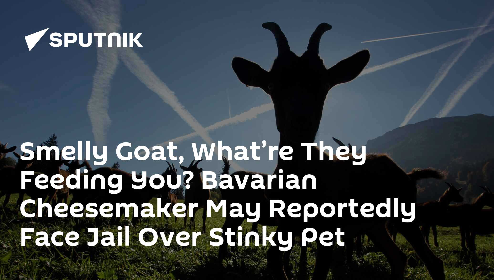 Smelly Goat, What’re They Feeding You? Bavarian Cheesemaker May ...