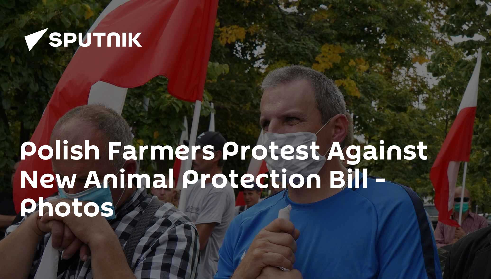 Polish Farmers Protest Against New Animal Protection Bill - Photos