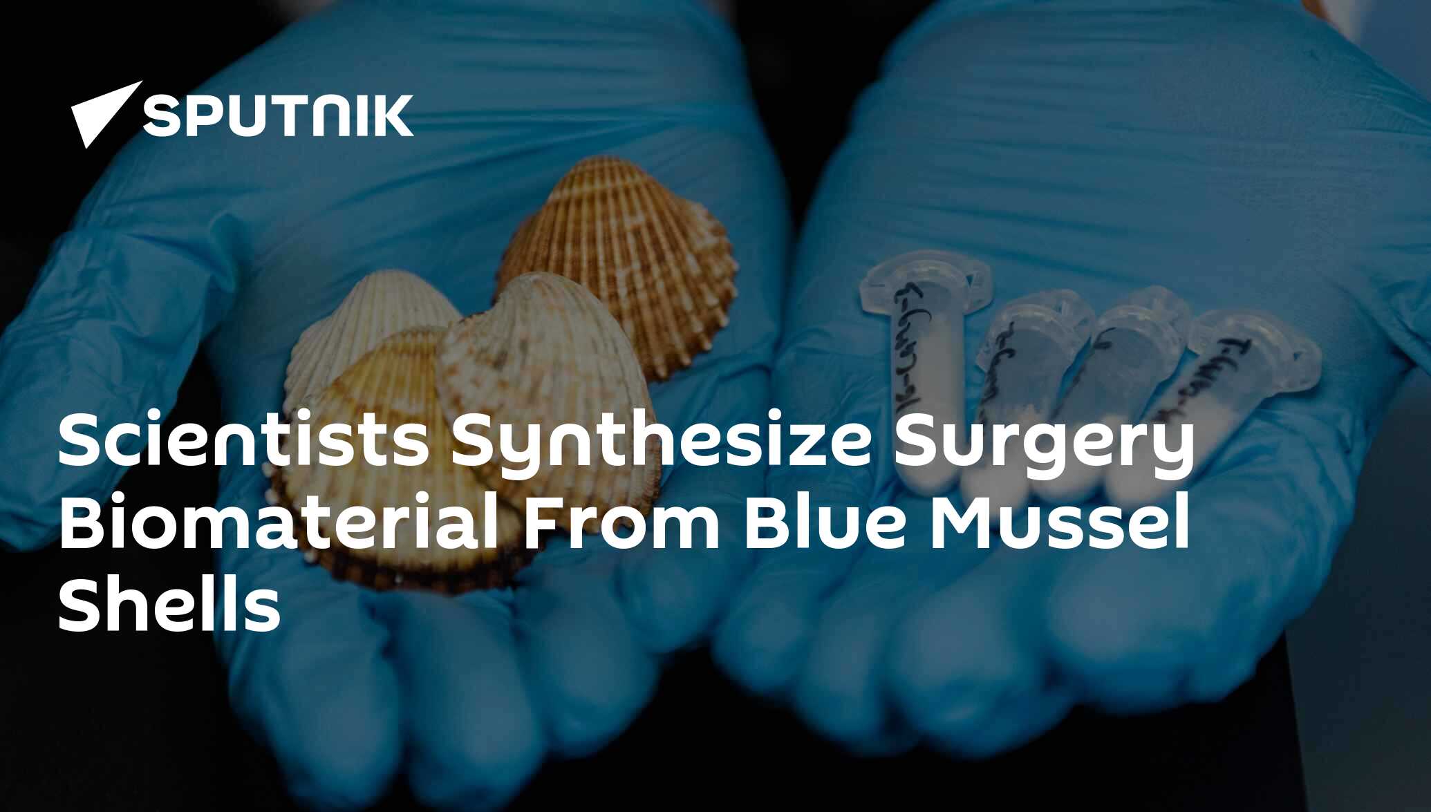 Scientists Synthesise Surgery Biomaterial From Blue Mussel Shells