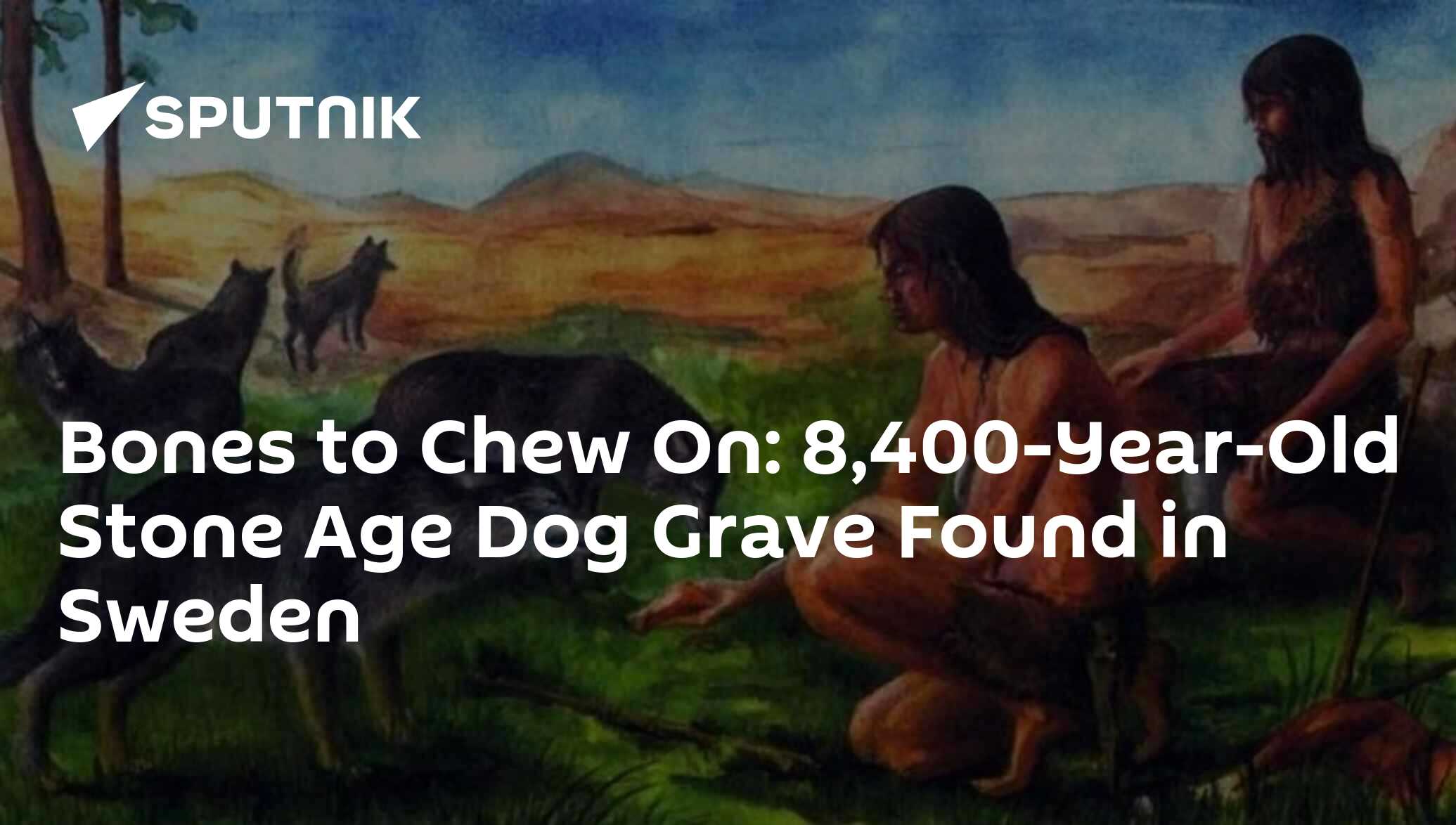 Bones to Chew On: 8,400-Year-Old Stone Age Dog Grave Found in Sweden ...