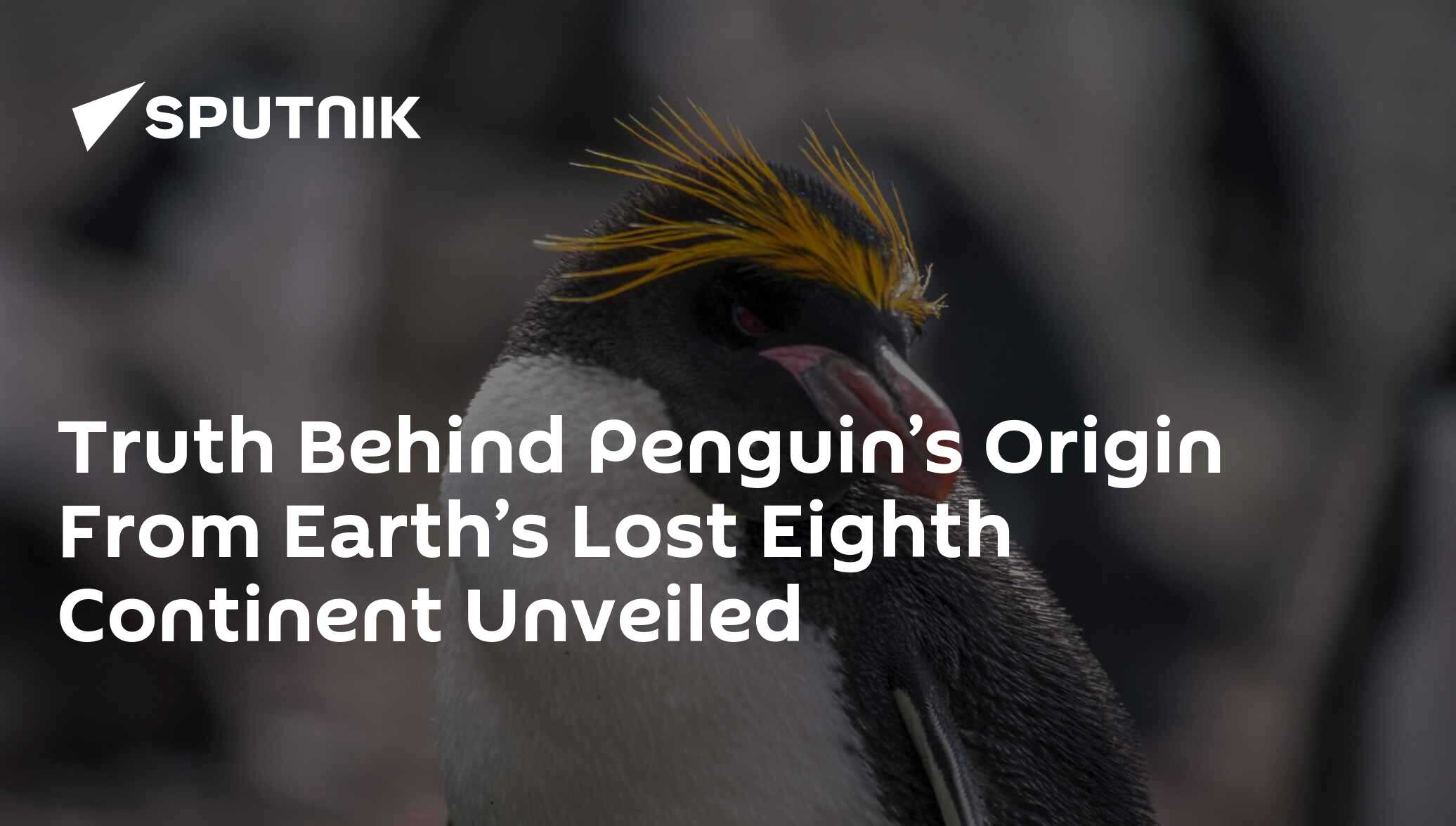 Truth Behind Penguin’s Origin From Earth’s Lost Eighth Continent Unveiled