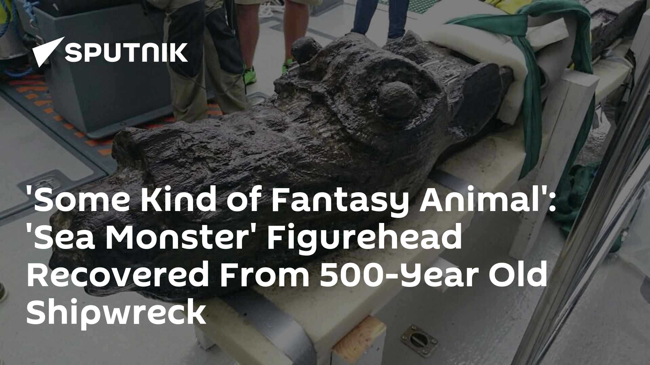 'Some Kind of Fantasy Animal': 'Sea Monster' Figurehead Recovered From ...