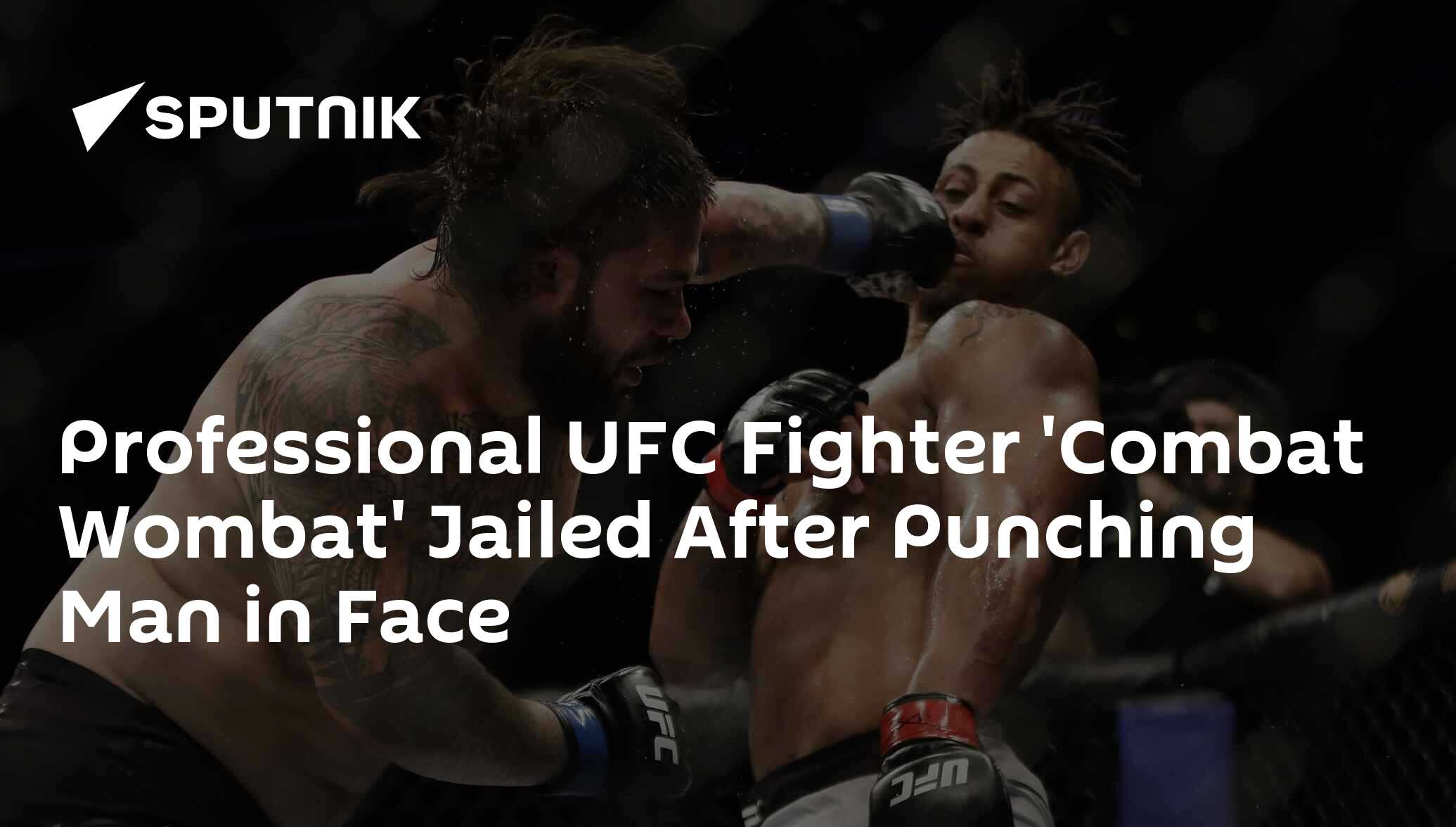 Professional UFC Fighter 'Combat Wombat' Jailed After Punching Man in ...
