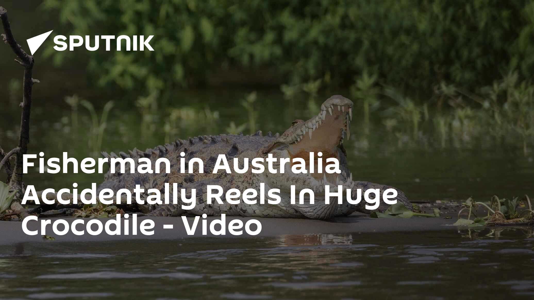 Fisherman in Australia Accidentally Reels In Huge Crocodile - Video