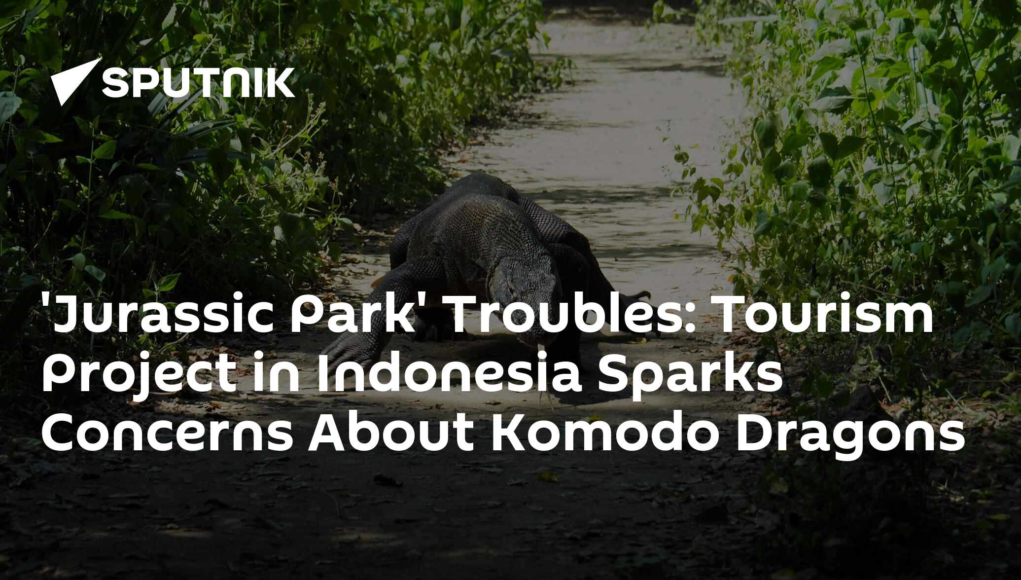 'Jurassic Park' Troubles: Tourism Project in Indonesia Sparks Concerns About Komodo Dragons