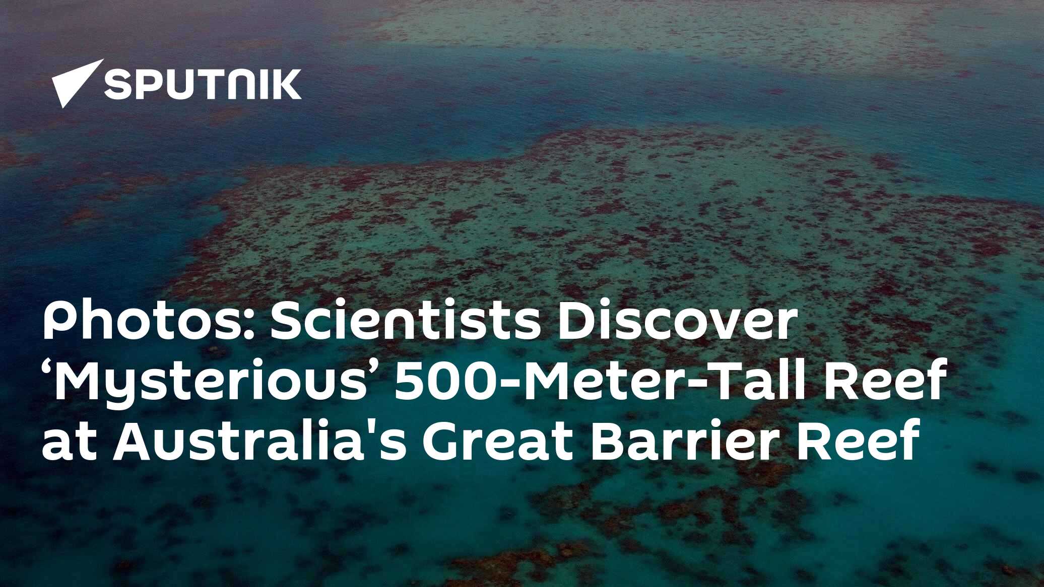 Photos: Scientists Discover ‘Mysterious’ 500-Meter-Tall Reef at ...