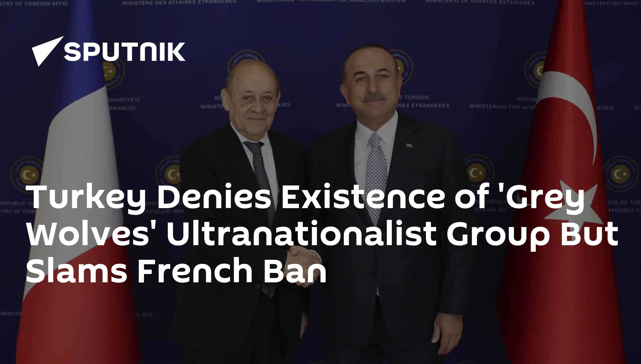 Turkey Denies Existence of 'Grey Wolves' Ultranationalist Group But ...